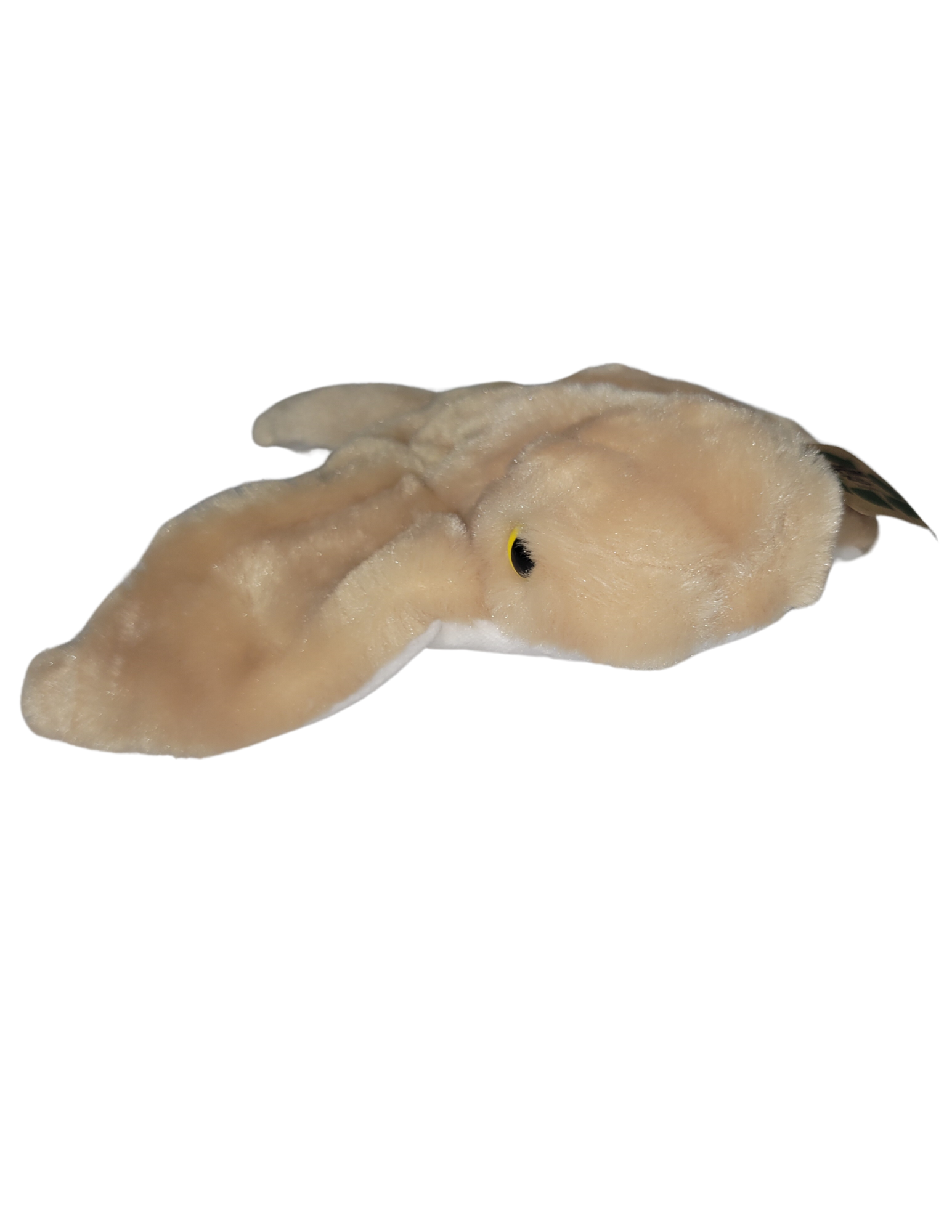 Products – ZooTampa